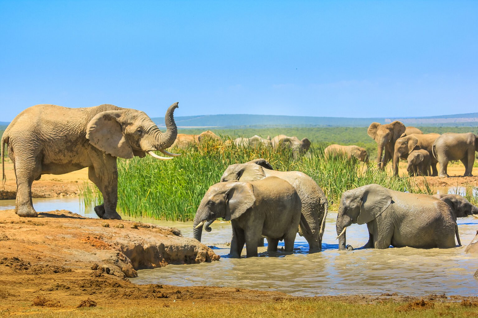 Eastern Cape South Africa Visitor Information